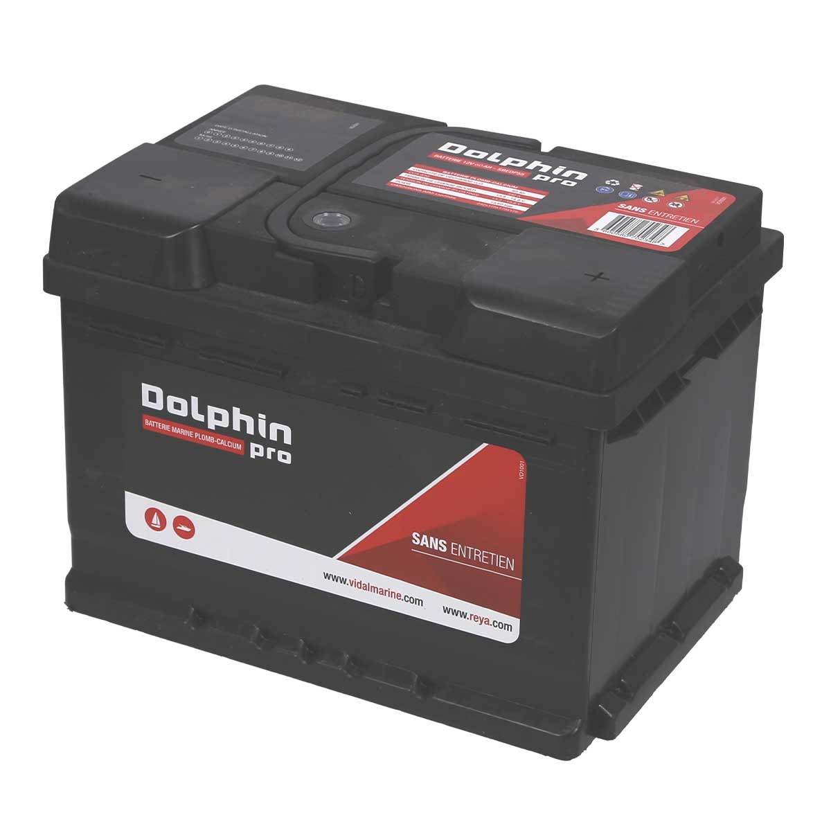 Dolphin Batterie Série Pro SBEDP55 - Comptoir Nautique