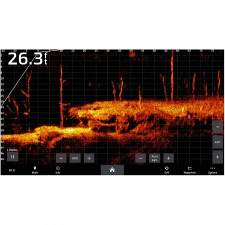 Garmin Panoptix LiveScope Plus LVS34 - Comptoir Nautique