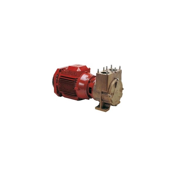 Forani electric pumps TS40D14 230V series TS401 - Comptoir Nautique