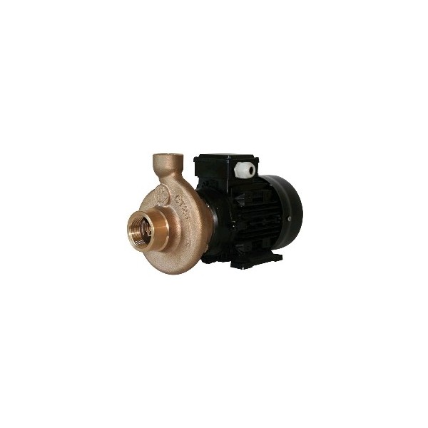 Forani CT25 230V series electric pumps CT251 - Comptoir Nautique