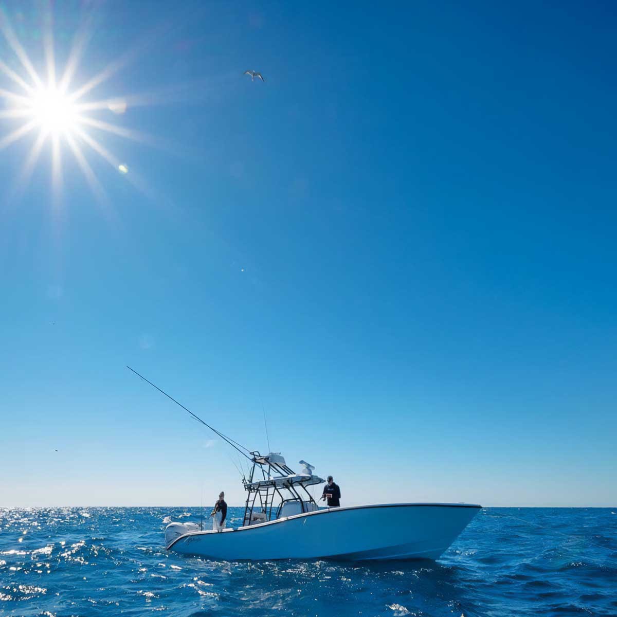 Simrad Halo 3000 beam radar 000-15763-001 - Comptoir Nautique