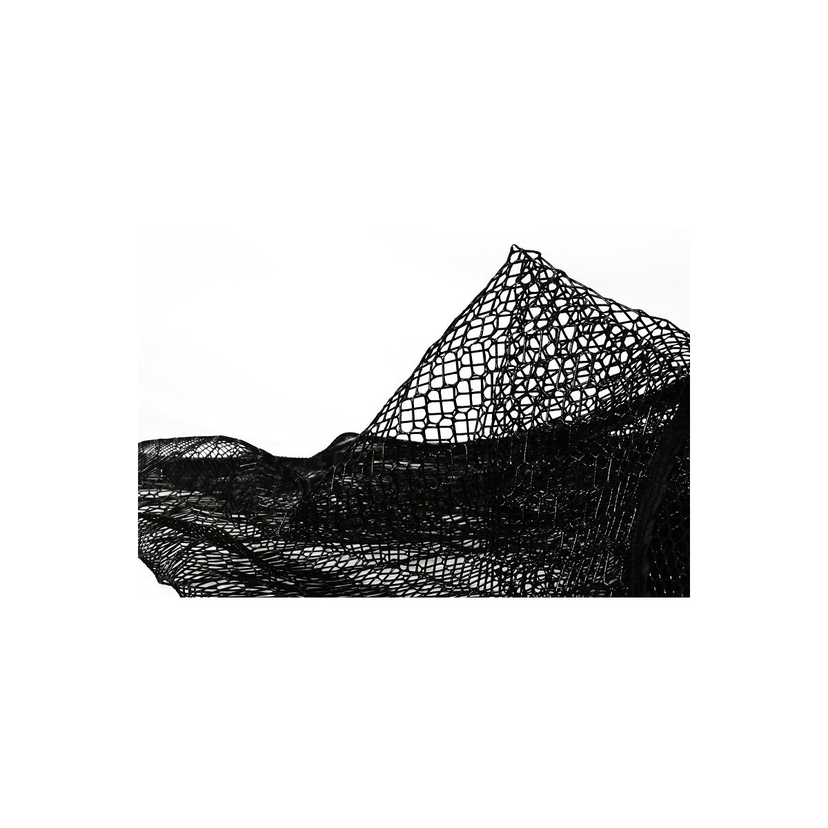 Carp'o Filet de rechange en résine pour épuisette AM-709147 - Comptoir ...